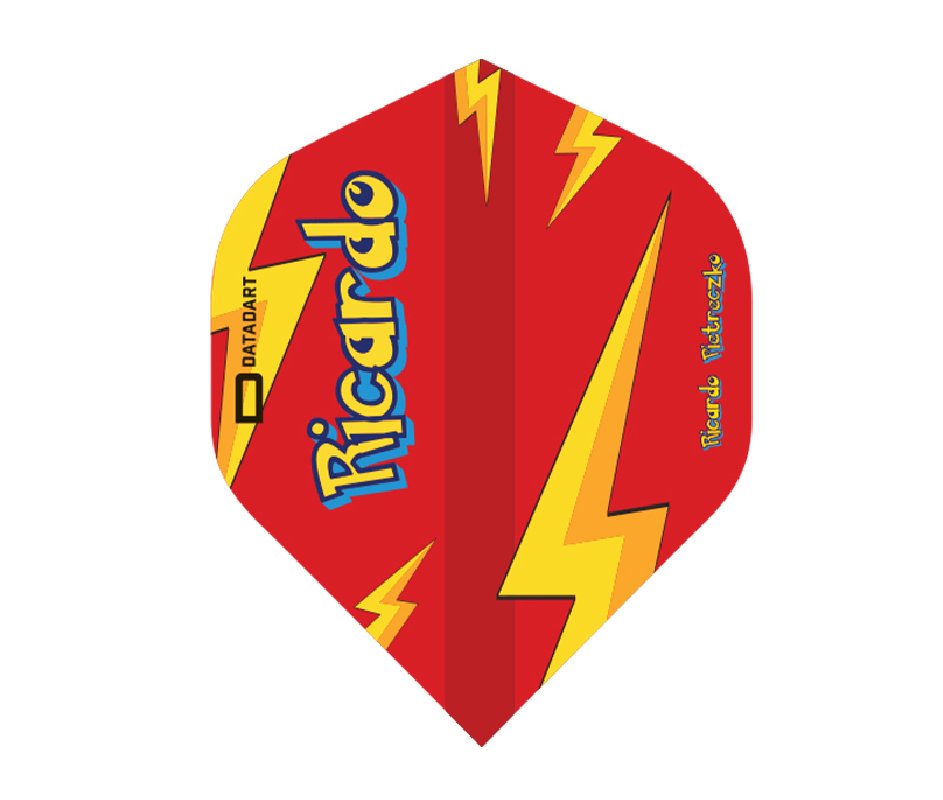 Datadart Player flights - 1 Eighty Benelux